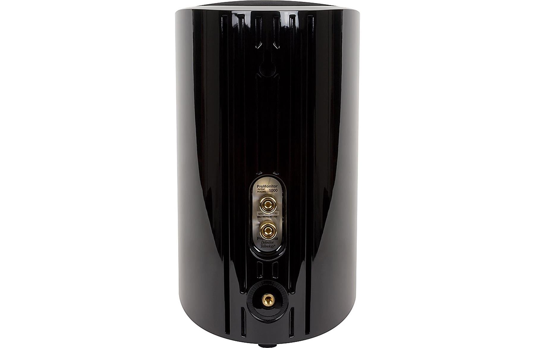 Definitive Technology ProMonitor 1000 - Compact High Definition Satell ...